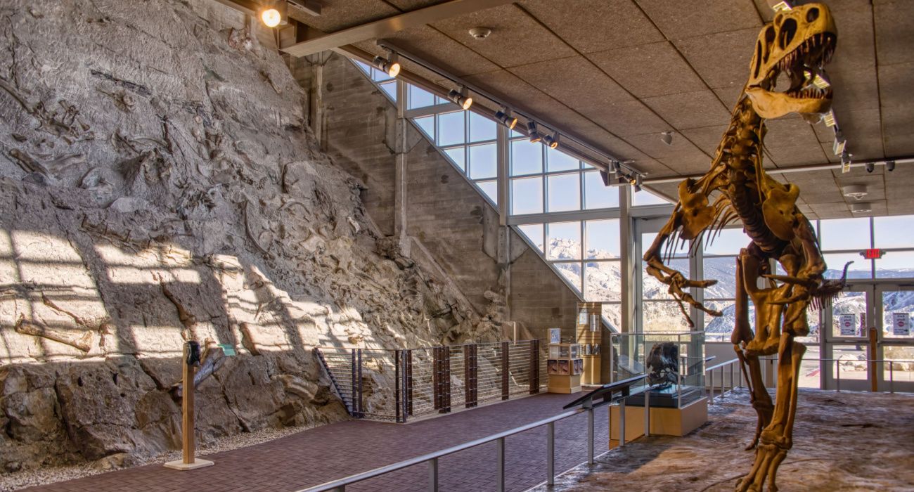 Why Jurassic National Monument In Utah Is Worth Visiting (& What ...