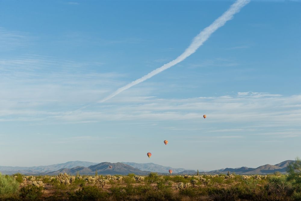 Exploring The Magic Of The Arizona Boardwalk: A Perfect Family Day Trip ...