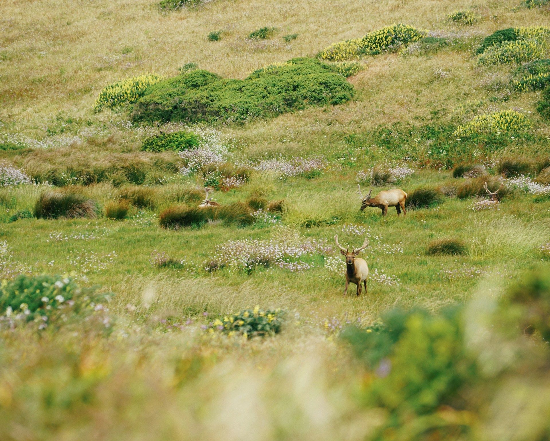 10 Of The Most Beautiful Hiking Trails In Northern California As Of 2023