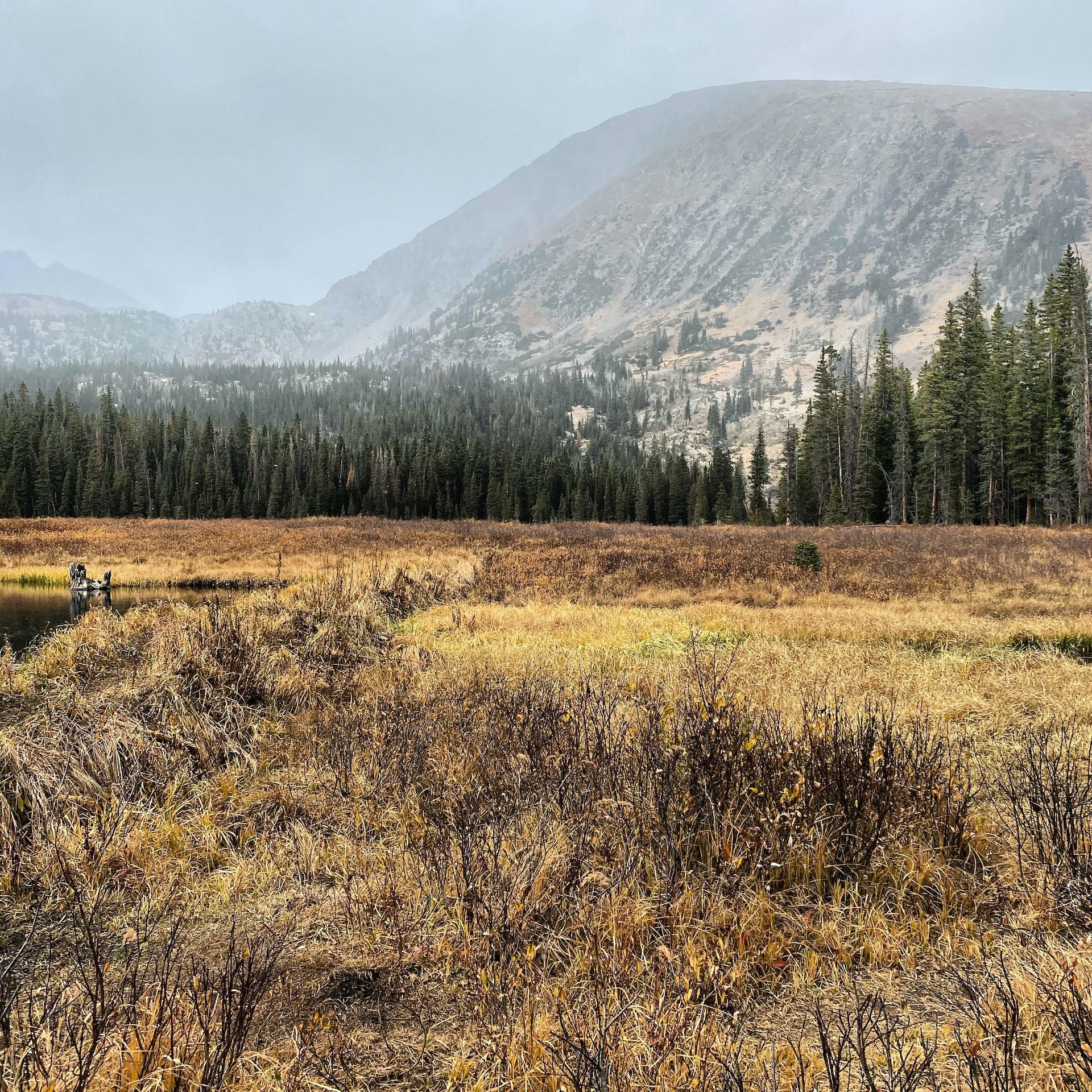 7 Colorado hikes that require bear spray