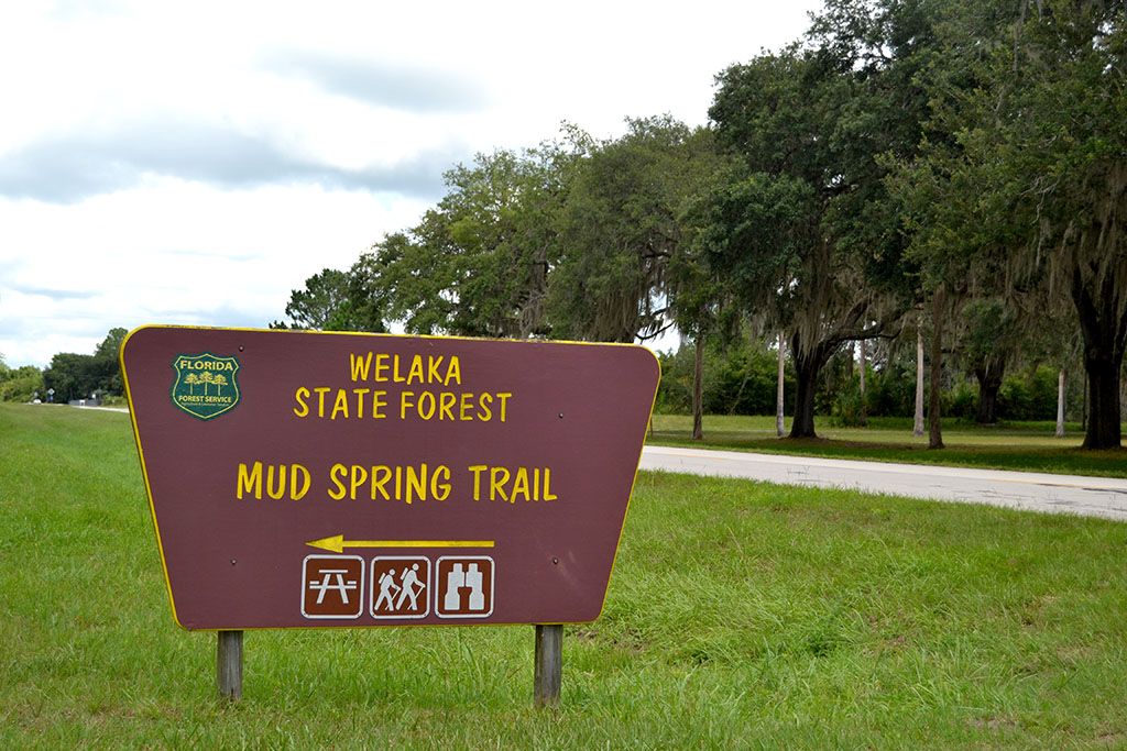 10 Small & Underrated Towns In Florida That Are Great Alternatives To ...