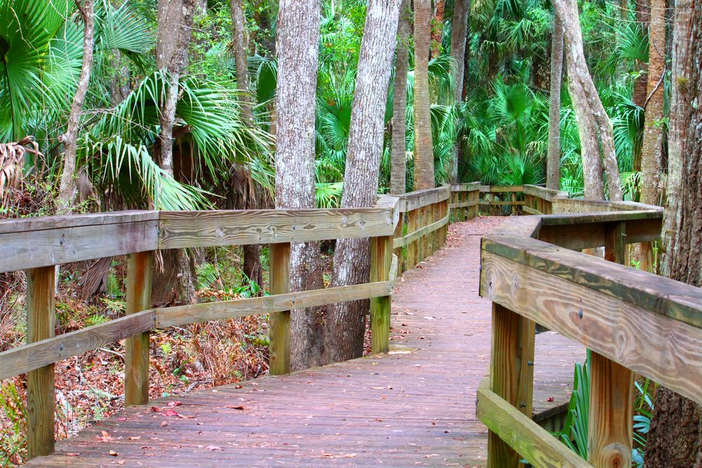 10 Of The Most Beautiful Hiking Trails In Florida As Of 2023
