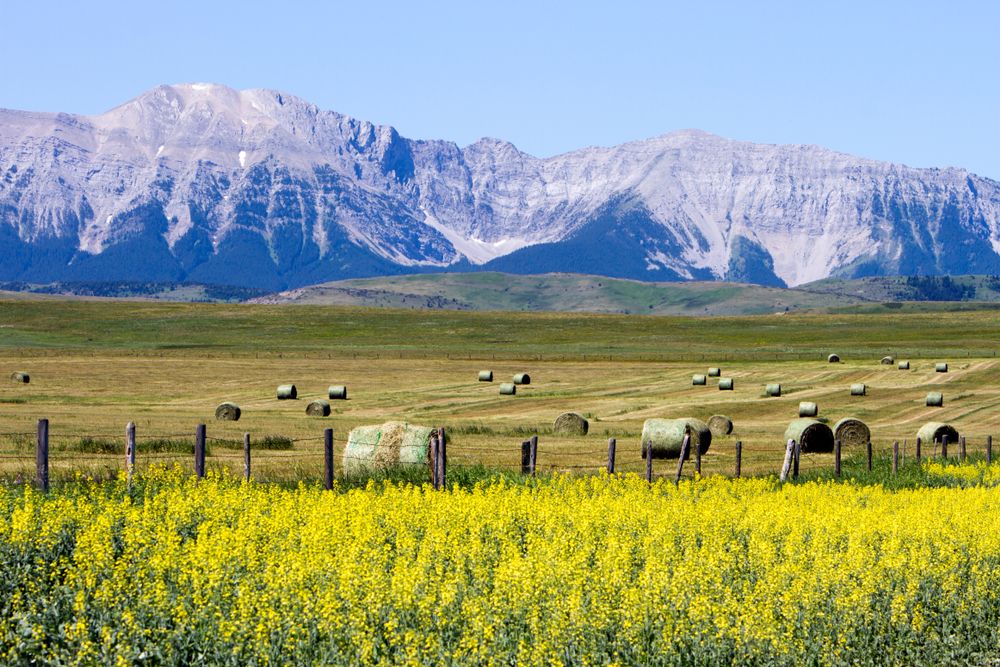 10 Scenic Alberta Road Trips That Should Be On Your Bucket List