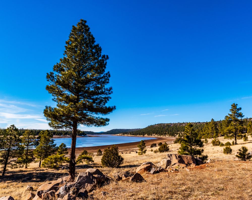 10 Unique And Fun Things To Do In Flagstaff