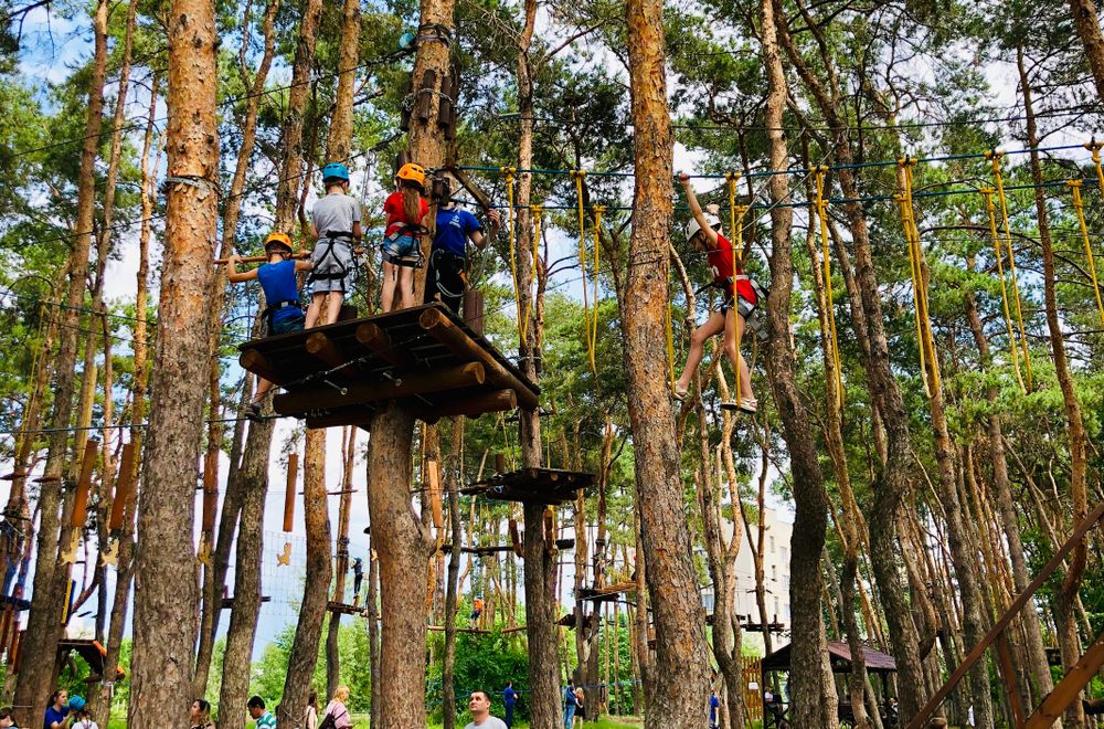 Everything you need to know when visiting Florida this summer