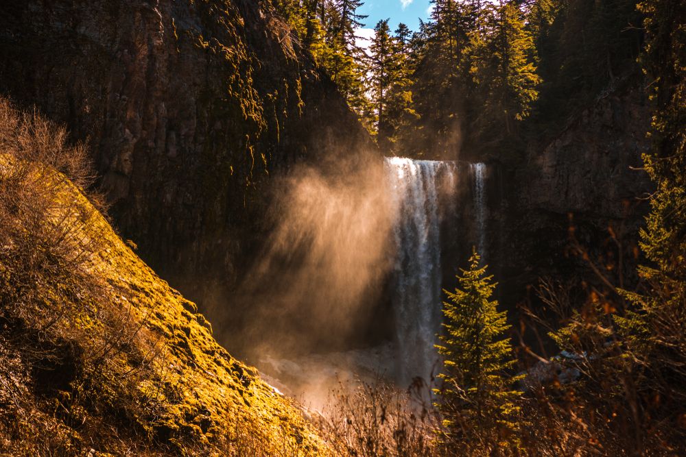 10 Of The Most Beautiful Hiking Trails In Oregon As Of 2023