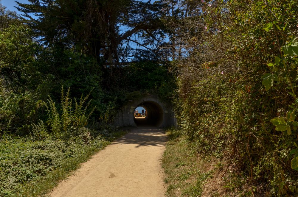 7 Best Hiking Trails With Stunning Views In Big Sur