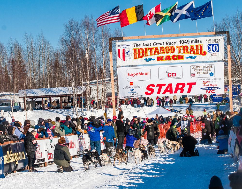 Plan Ahead & Visit The Annual Iditarod Trail Sled Dog Race In Alaska