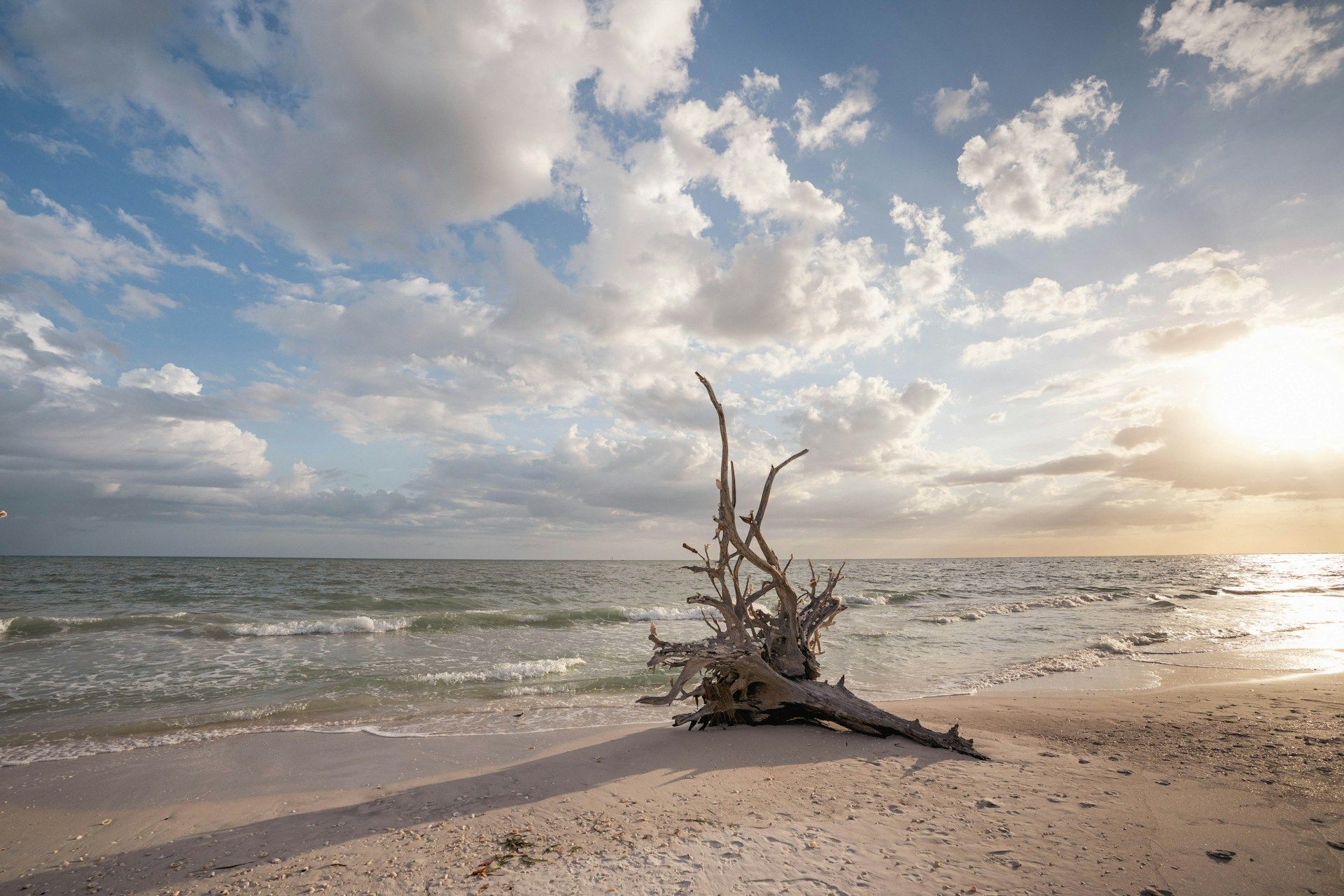 10 Top-Rated Beach Hikes in Florida