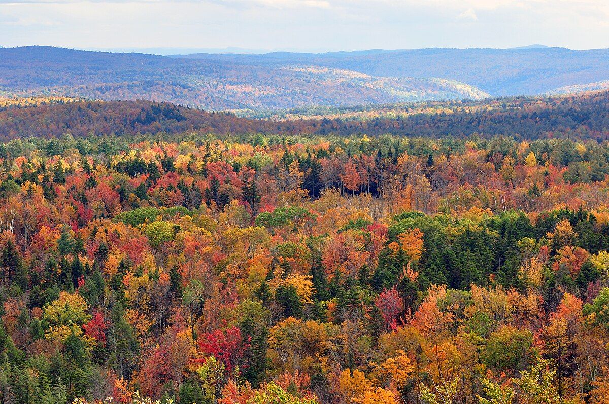 10 (Highly Underrated) Things You Need To Do In Vermont Before Fall Is Over