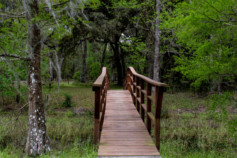 10 Beautiful Florida Hikes, Ranked By Their AllTrails Rating