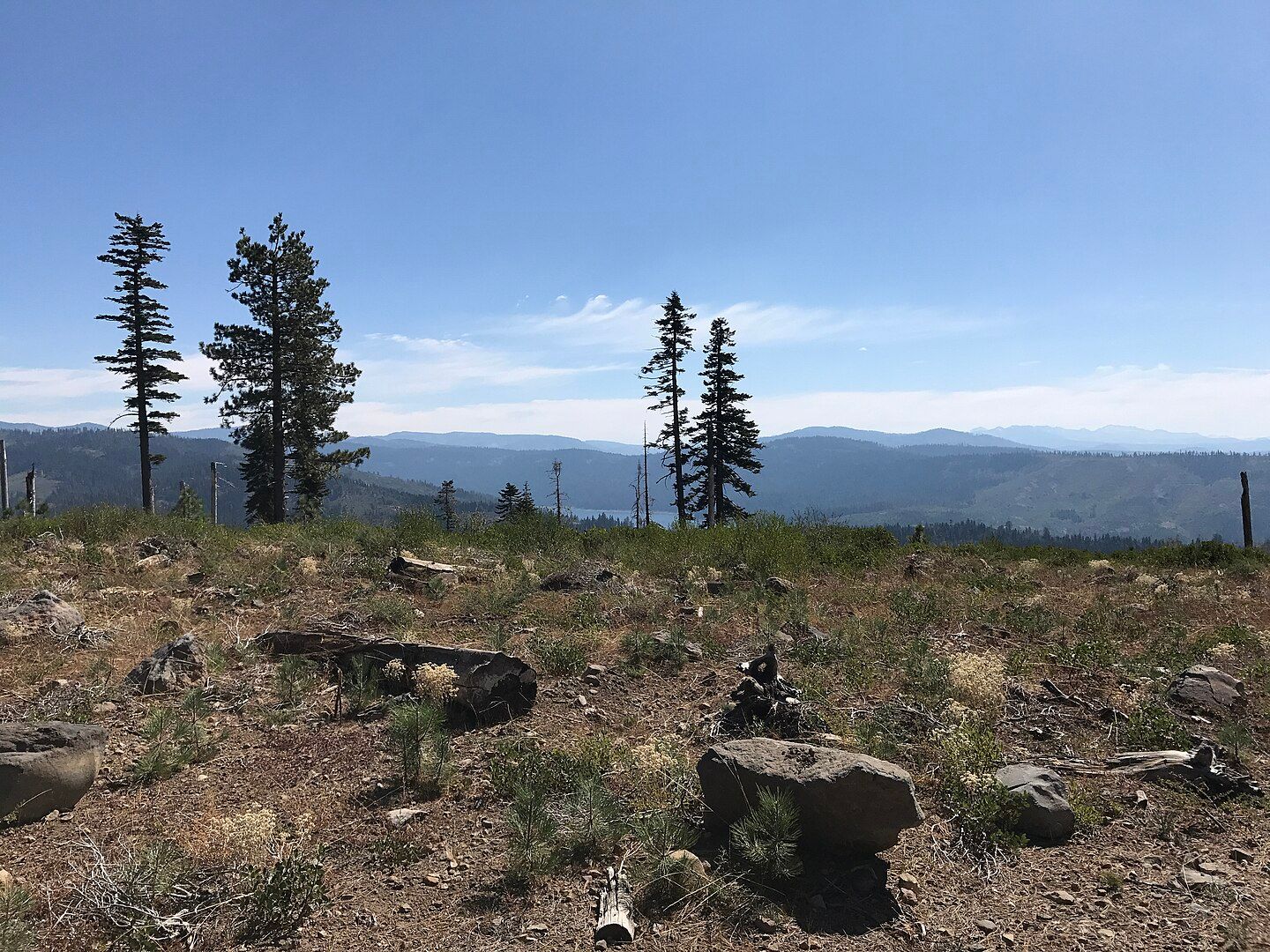 9 Parks And Forests To Explore In The Sierra Nevada Mountains
