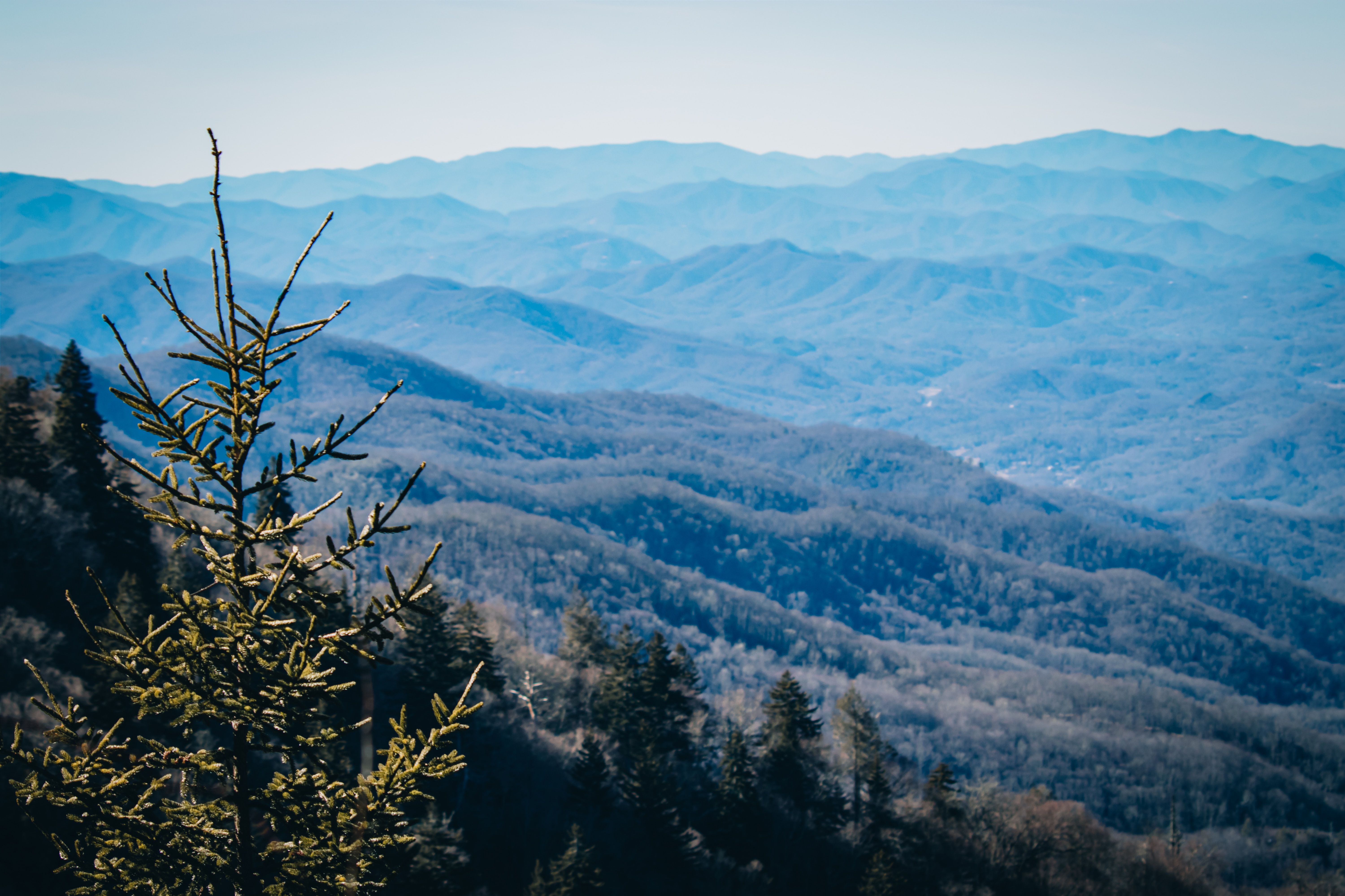 10 Hidden Gem Towns In The Blue Ridge Mountains To Visit This Winter