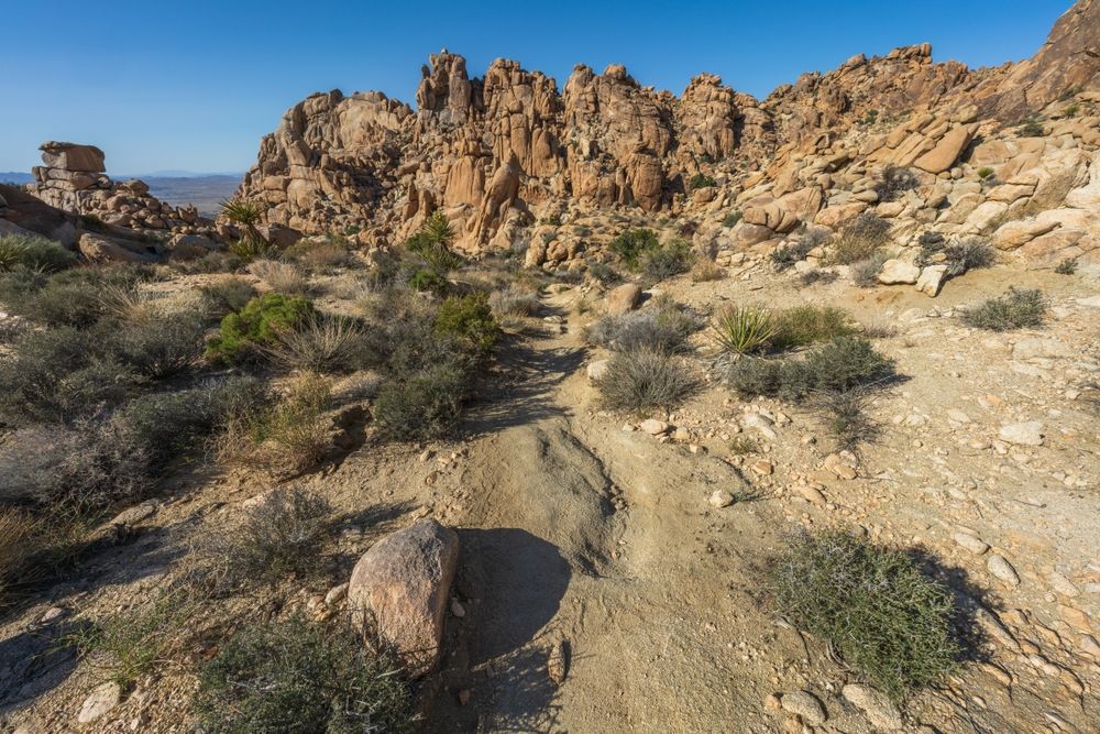 10 Scenic Hiking Trails In Joshua Tree National Park