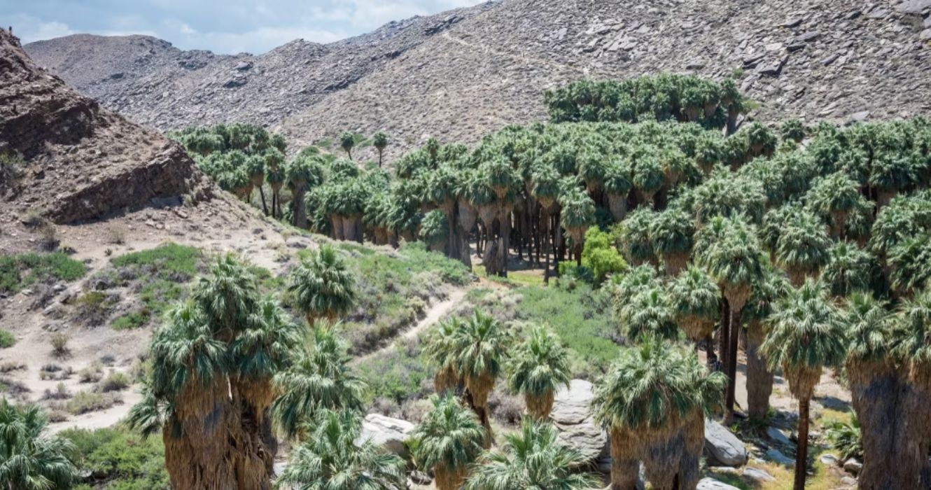 10 Scenic Stops On A Los Angeles To Joshua Tree National Park Road Trip