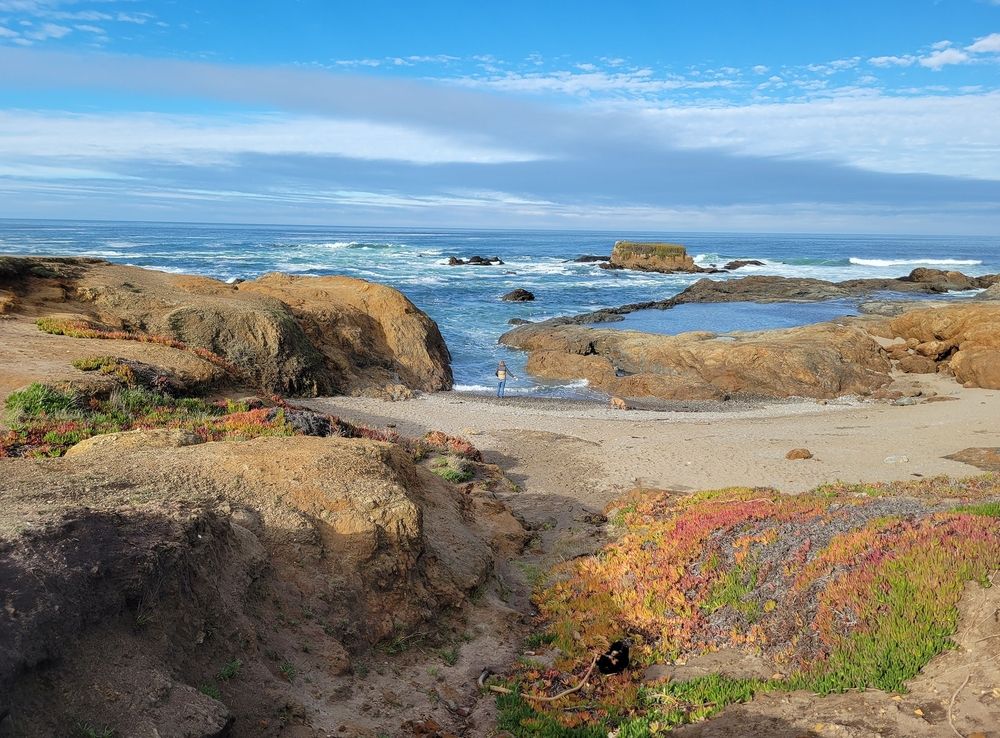 ビーチフロントのキャンプ場で知られるカリフォルニア州の州立公園 10 選 - 世界の顔