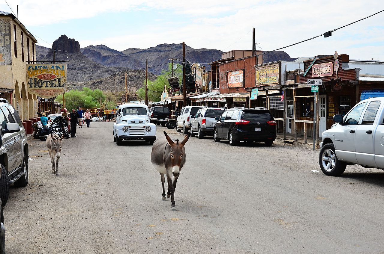 10 Truly Strange Things That Can Only Be Found In Arizona's Deserts