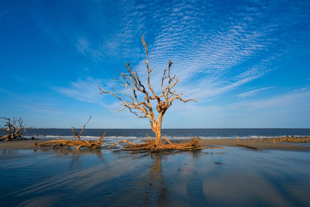 9 Unspoiled Beaches On The Coast Of Georgia