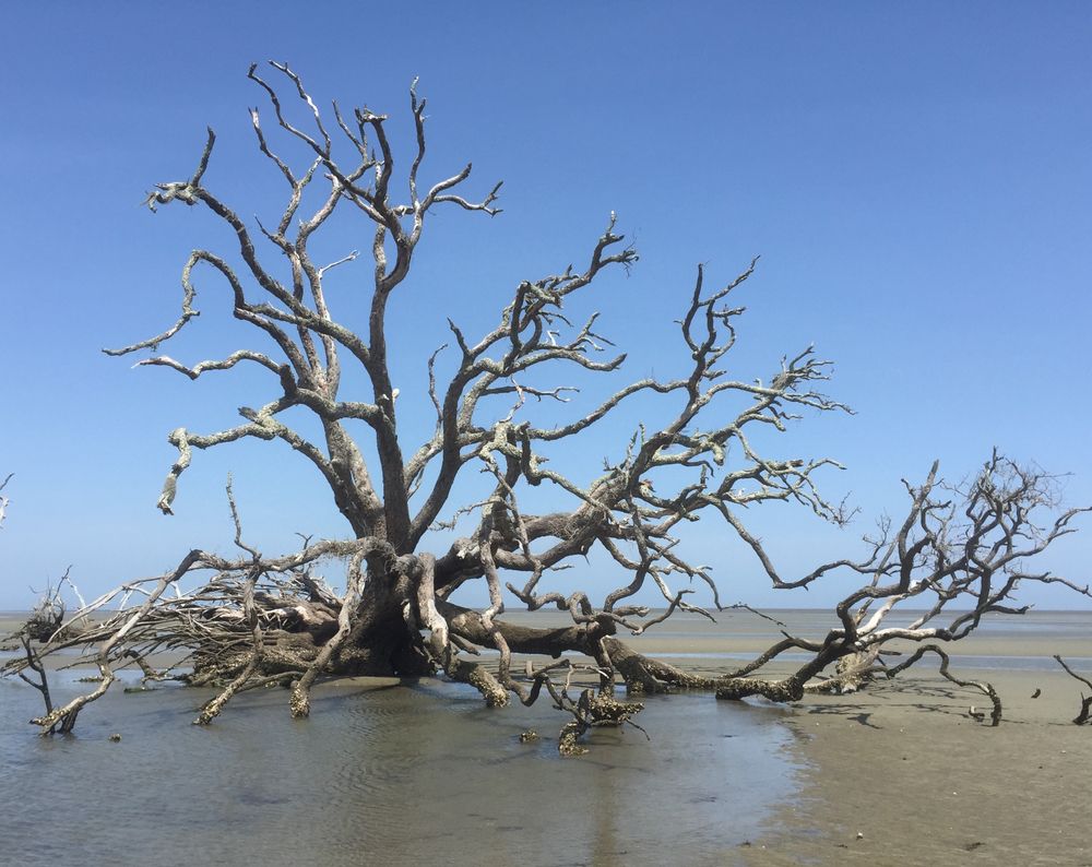9 Unspoiled Beaches On The Coast Of Georgia