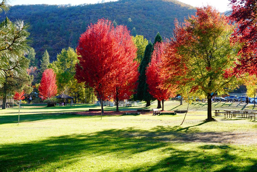 9 Small Towns In California You Can Live In For Less Than $3,000 A Month