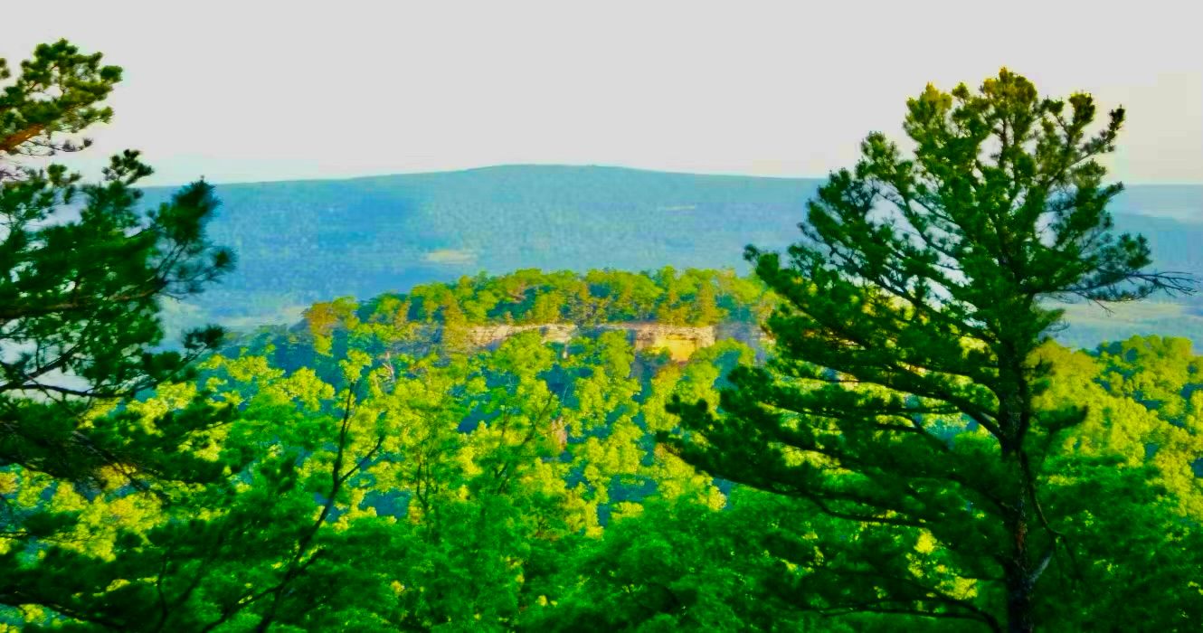 The Arkansas Dragon: What To Know About This State's Most Scenic Drive