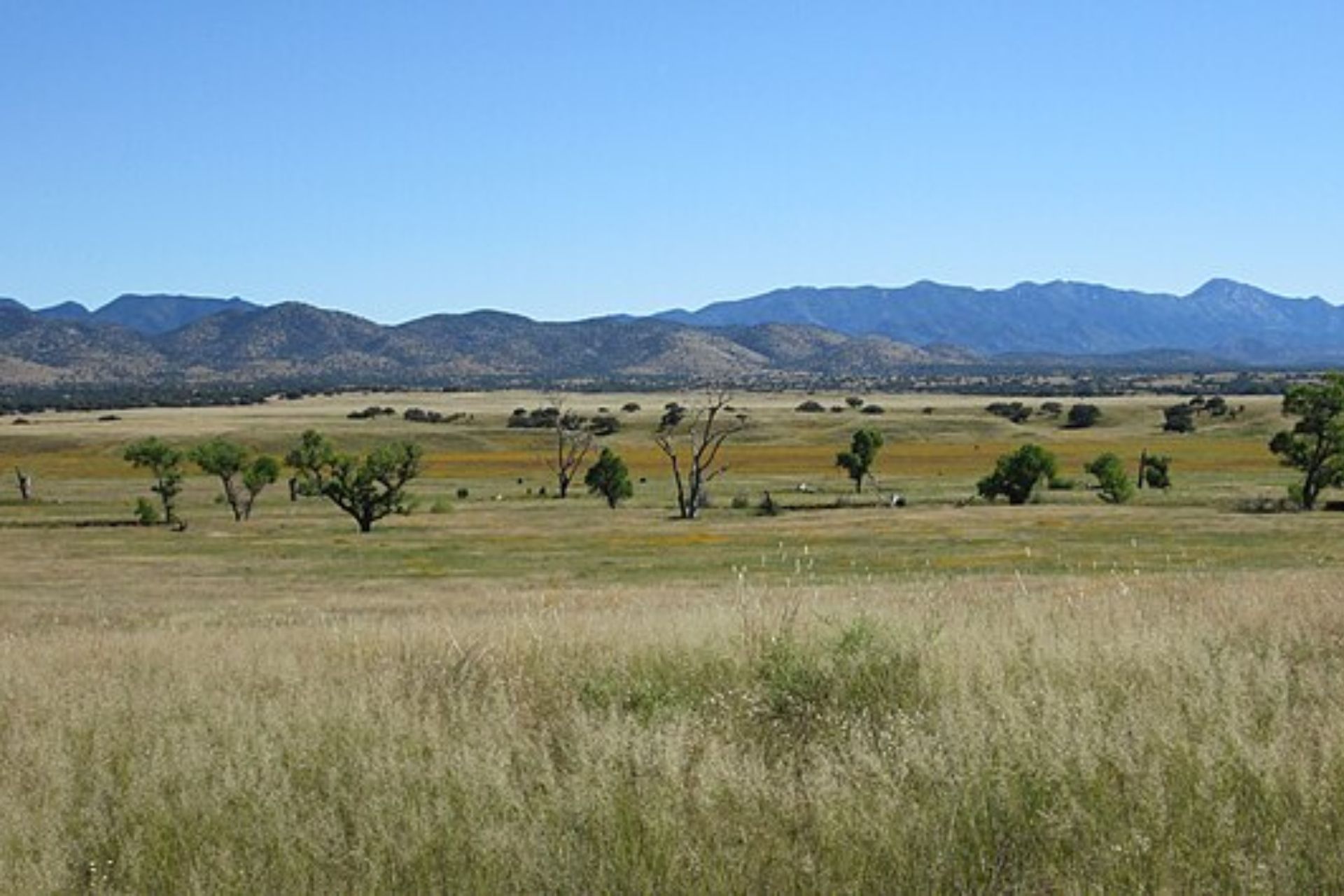 9 Equally Impressive Landmarks That You Didn't Know Existed In Arizona