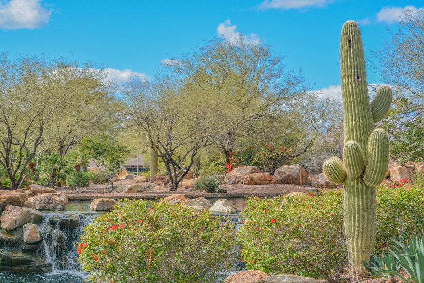 9 Scenic Train Trips To Take In Arizona