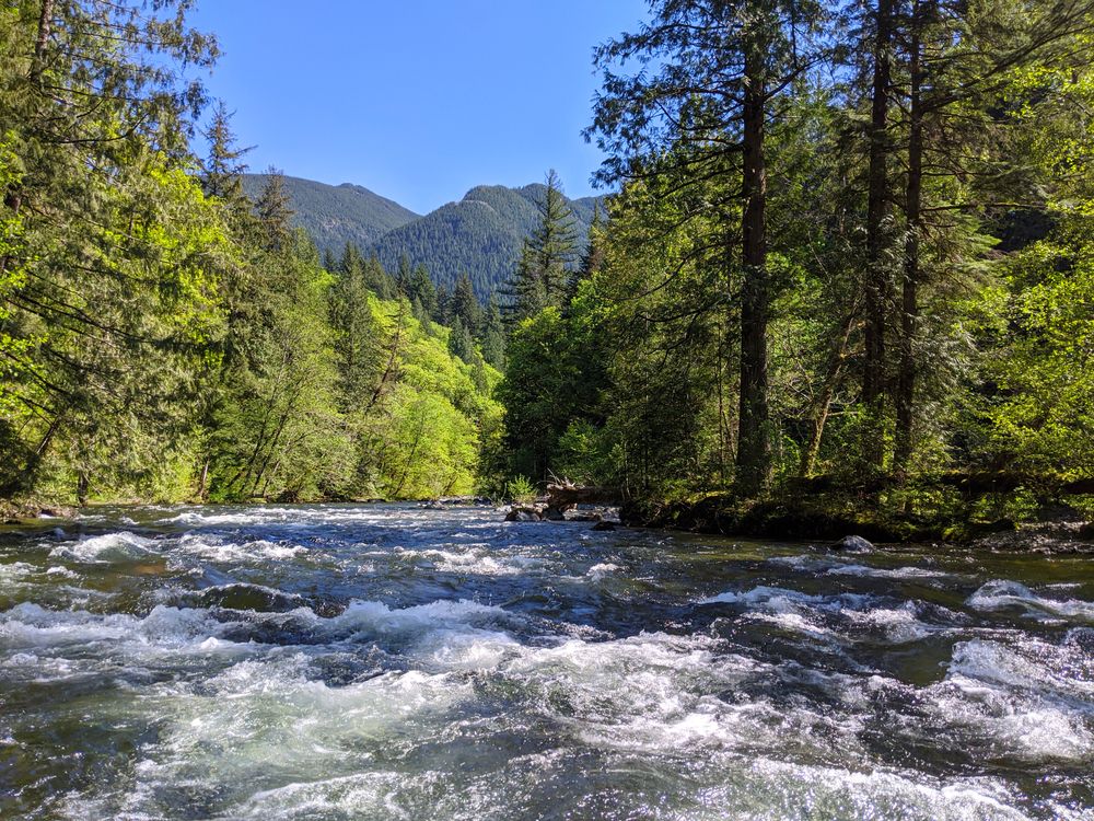 10 State Parks In Washington With Scenic Hikes