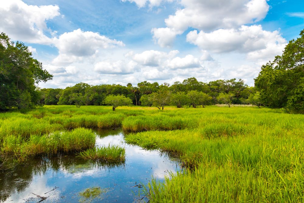 10 Small Towns In Florida That Are Near Scenic Natural Wonders