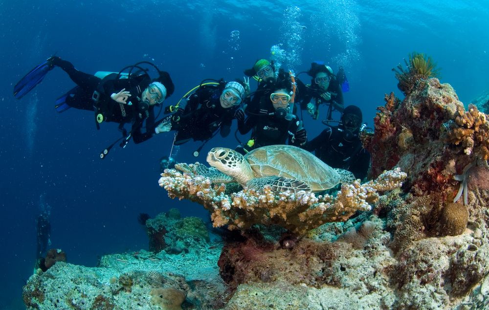 10 Diving Destinations That Will Give You A Glimpse Into Unchartered Oceans