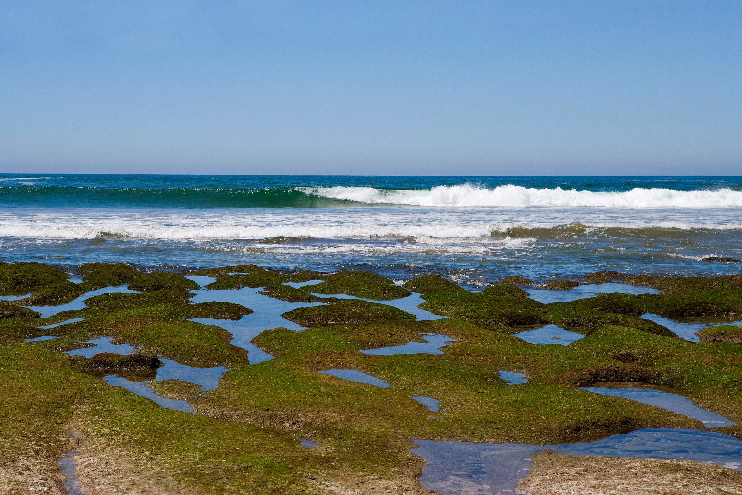 Underrated But Scenic: 10 Hidden Gem Beaches In Mexico