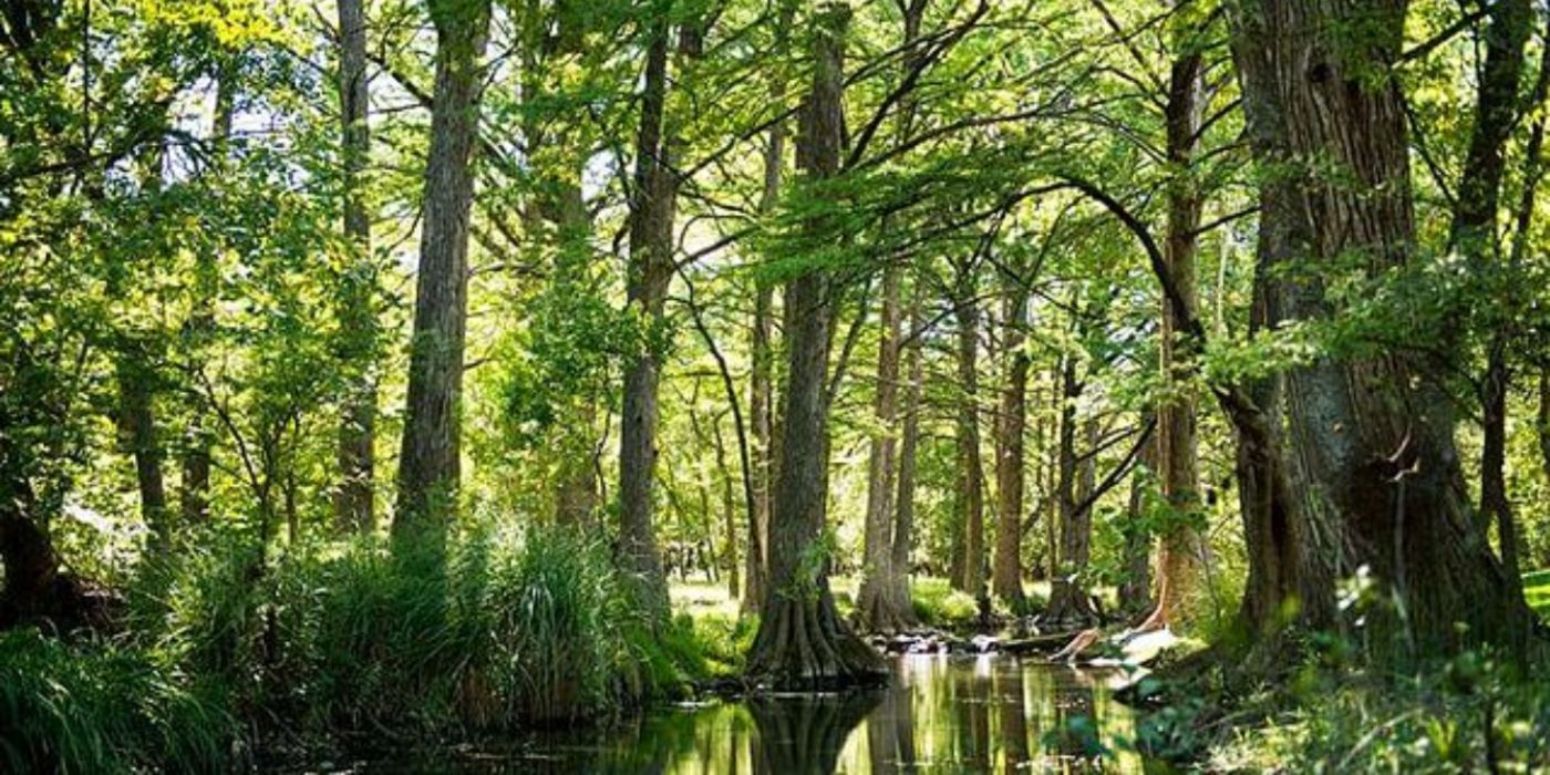 10 Small Towns In Texas For Hill Country Lovers