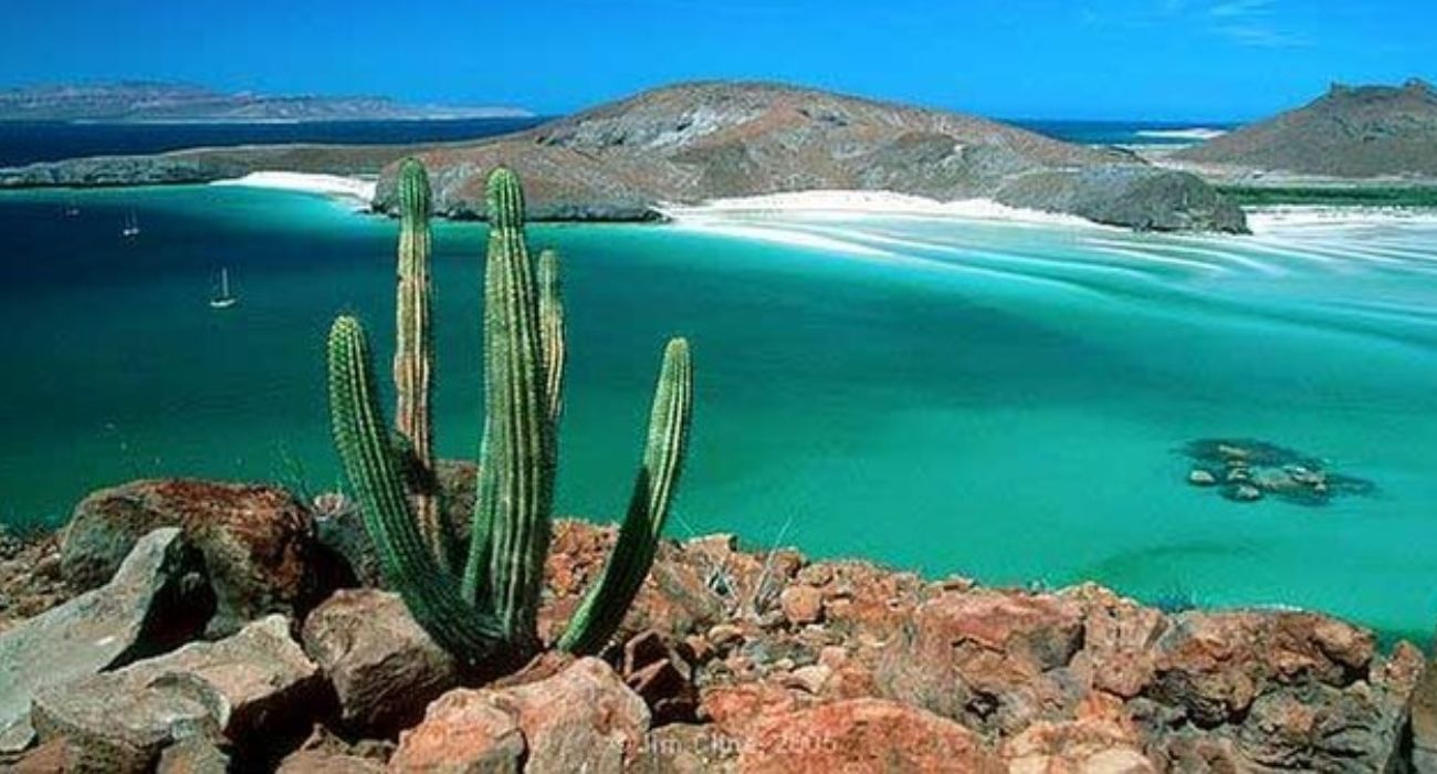 This Is Why You Should Visit La Paz Over Any Other Baja Destination