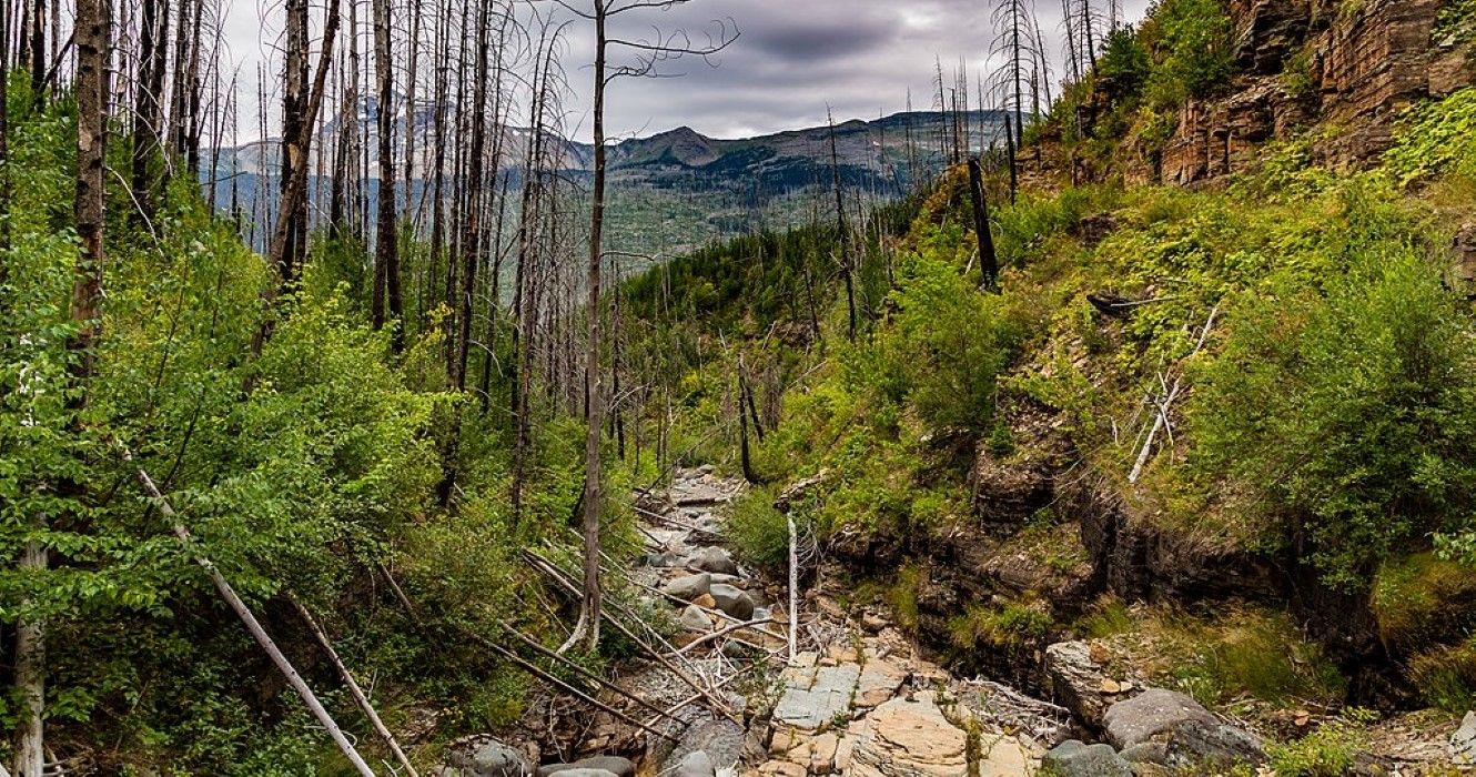 Bering Glacier: What To Know Of Visiting America's Largest Glacier
