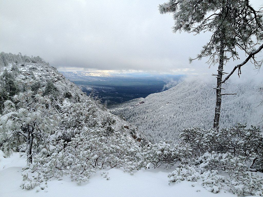 10 Small Towns In Arizona With Winter Snow