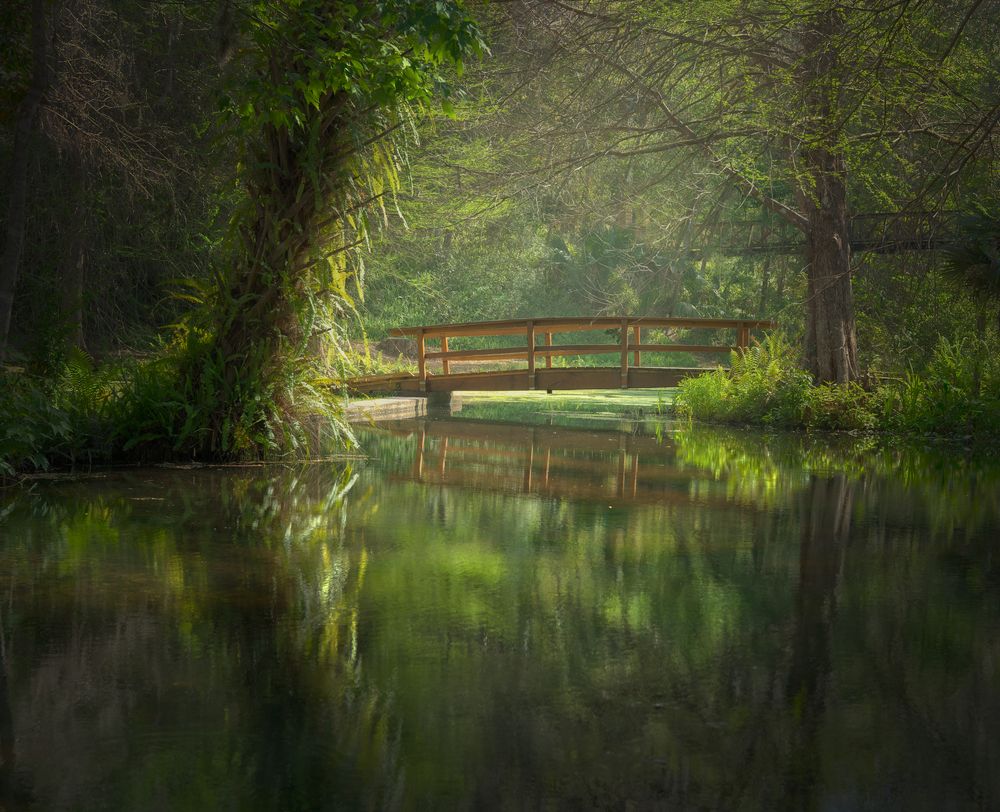 10 Scenic Yet Casual Hikes In Florida