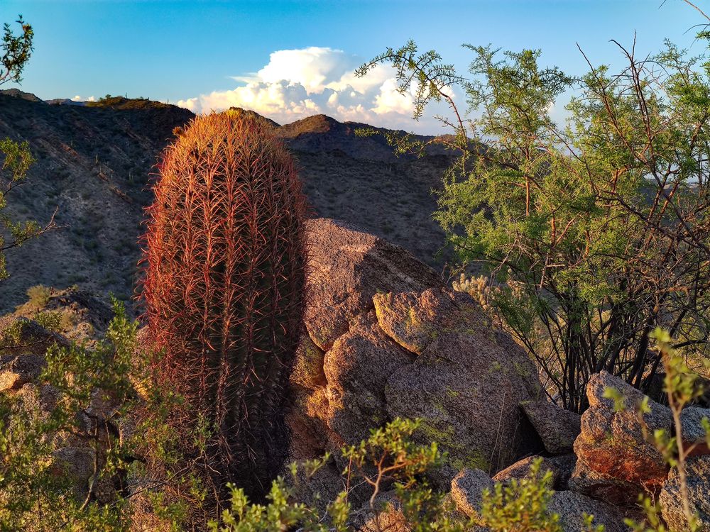 18 Scenic Drives Near Phoenix, Arizona