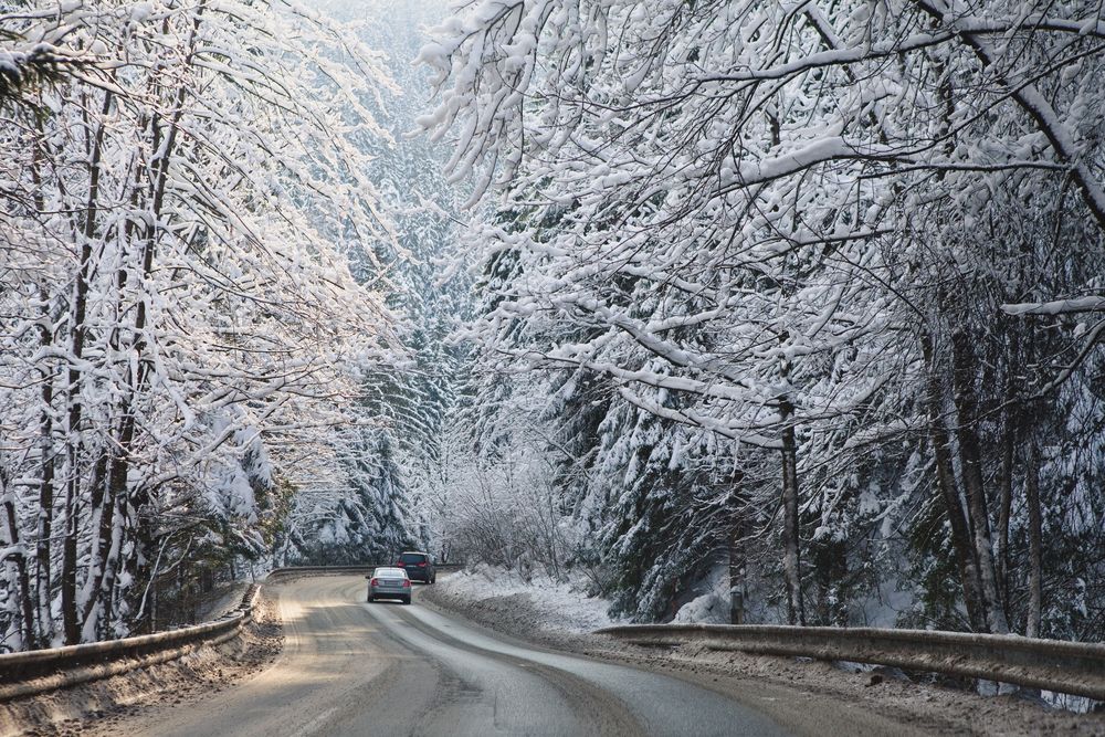 10 Winter Road Trips In Tennessee That Show Off The Snowy Smokies