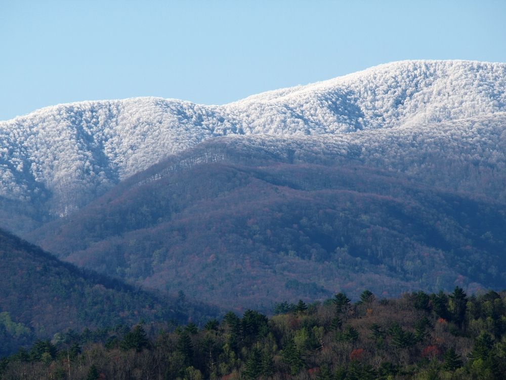 10 Winter Road Trips In Tennessee That Show Off The Snowy Smokies
