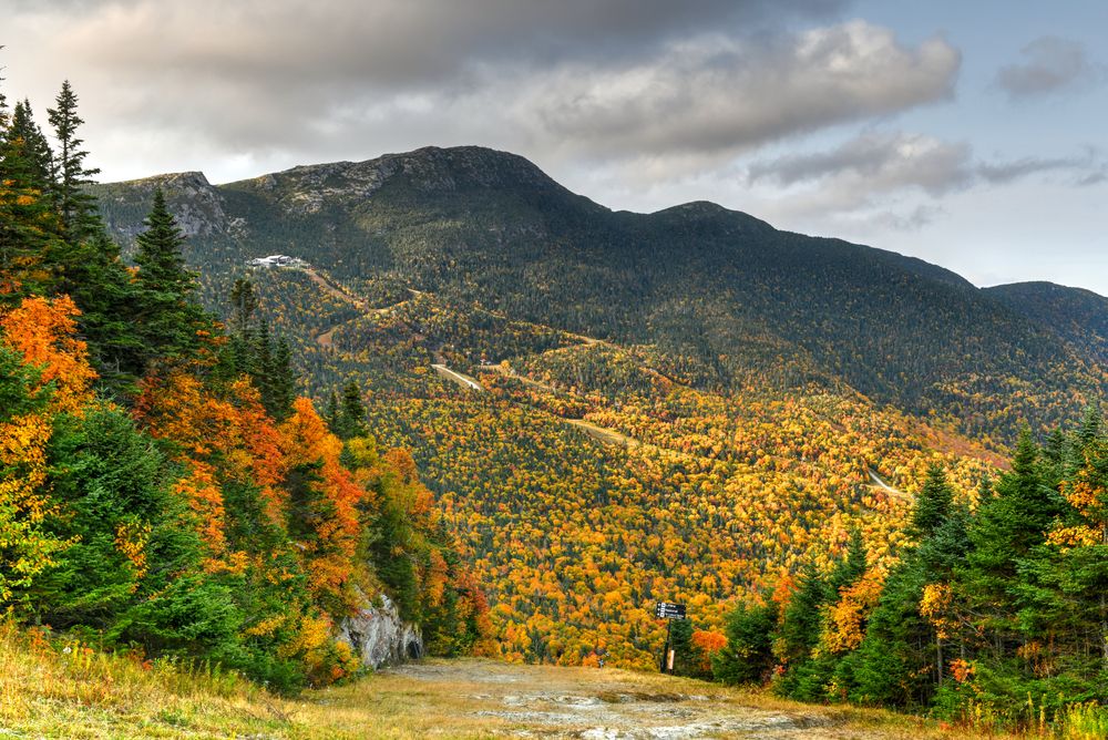 10 Epic Drives To Scenic Mountain Summits In The U.S.