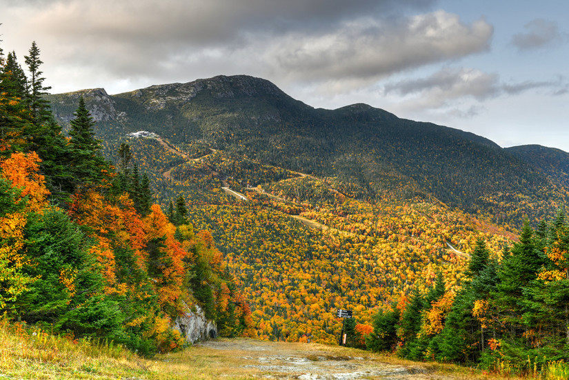 10 Epic Drives To Scenic Mountain Summits In The U.S.