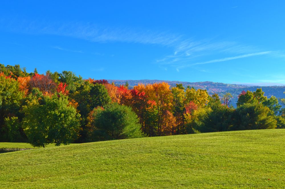 This Is The Most charming Small Town In The Finger Lakes