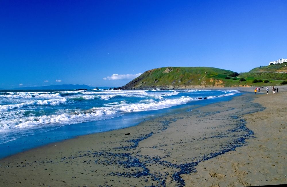 7 Unusually Colored Beaches In America