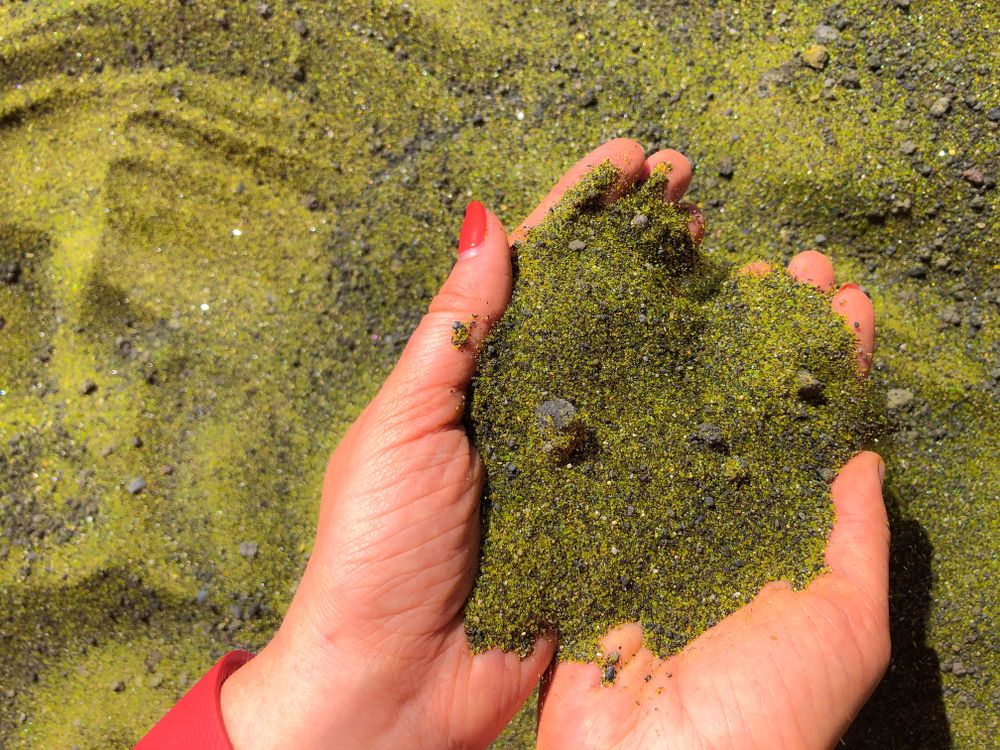 Skip Pink Sand Beaches: Why Hawaii's Green Sand Beach Is Better