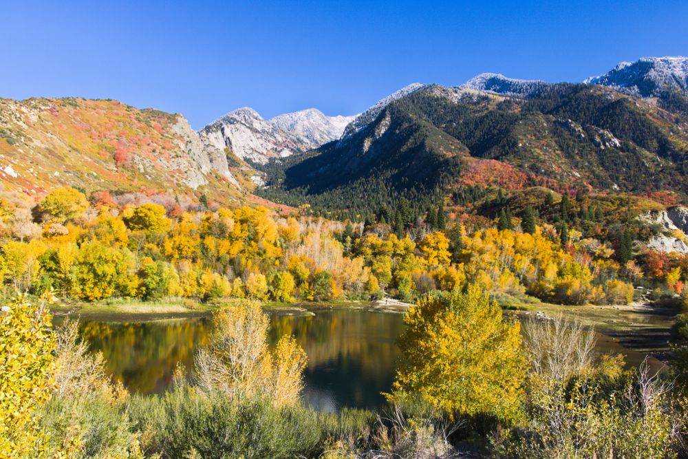 7 Top-Rated Easy Utah Hiking Trails With Scenic Views