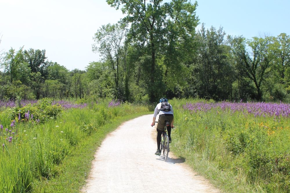 12 Beautiful Rail Trails In The US To Bike