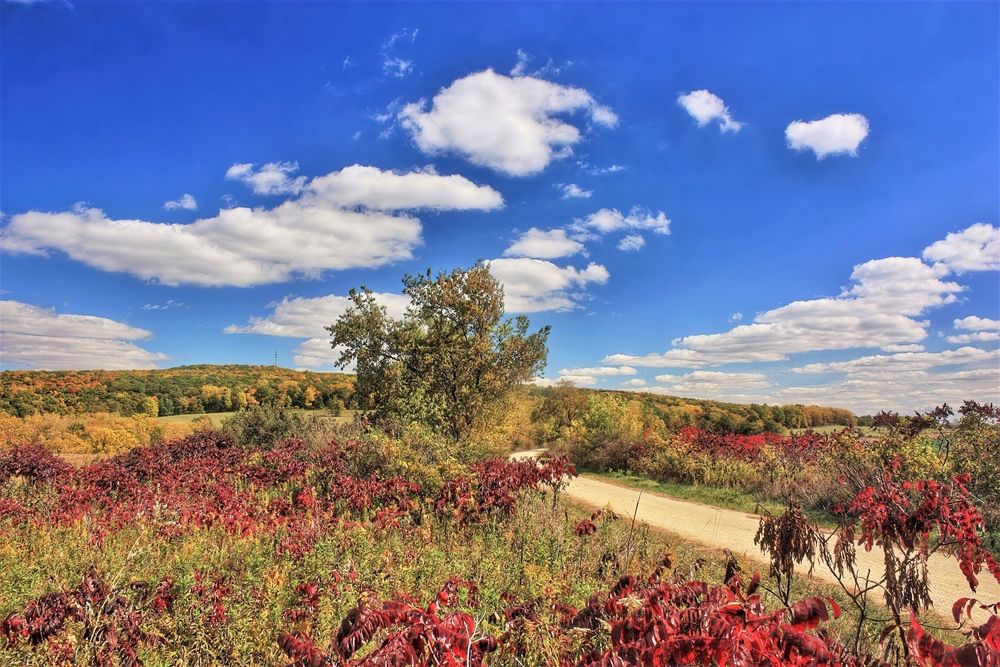 12 Beautiful Rail Trails In The US To Bike