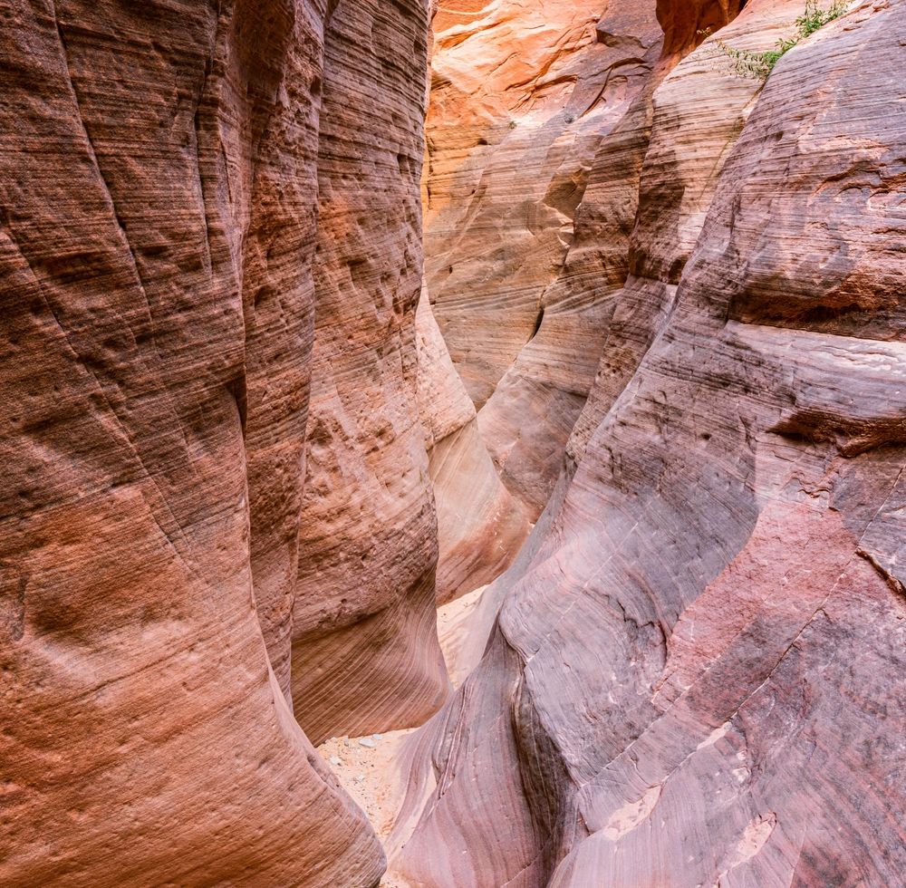 8 Kid-Friendly Easy Hikes In Utah