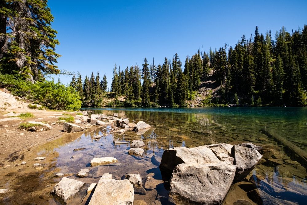 7 Scenic Washington Hikes Less Than Five Miles