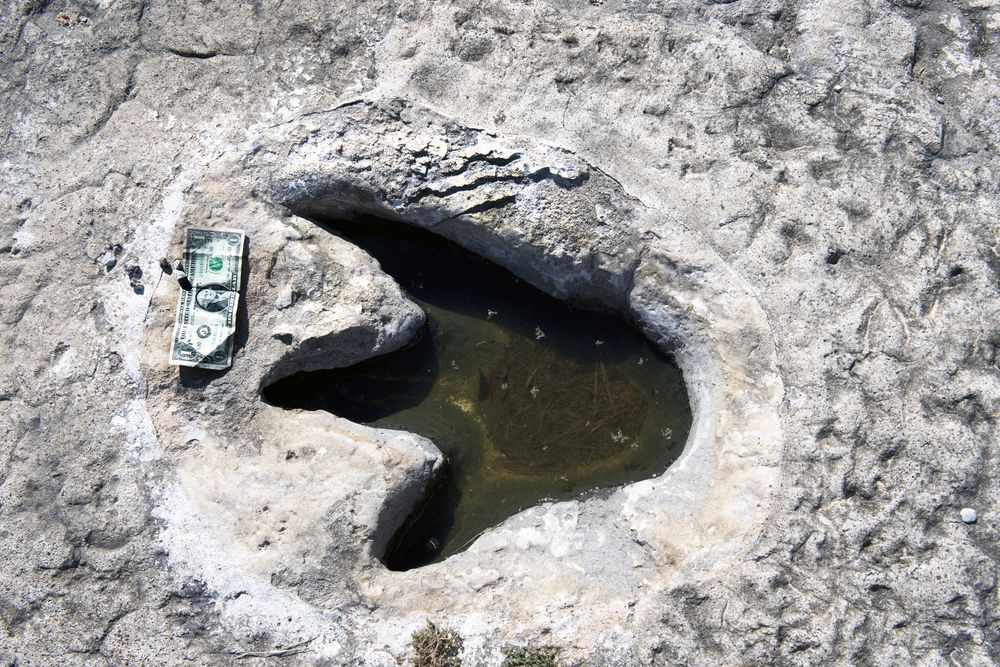 Why Jurassic National Monument In Utah Is Worth Visiting (& What ...